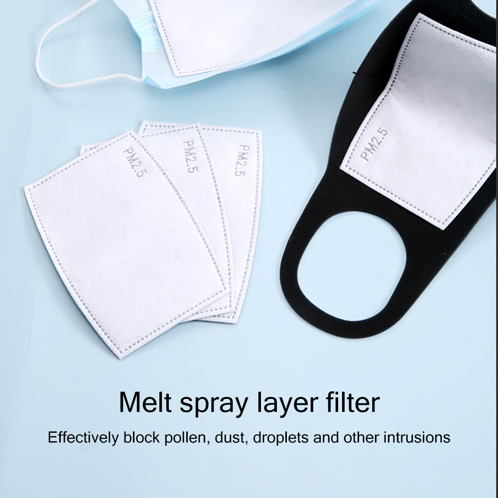 2 PCS PM 2.5 FPP3 Mask with 24 PCS Anti Haze Cotton 5 Layers N95 Filter ...